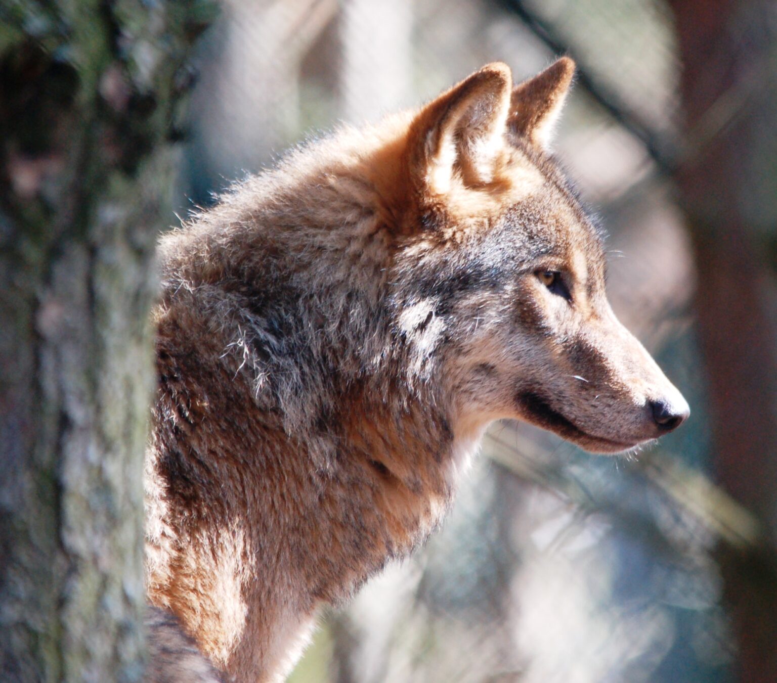 The European Environmental Bureau speaks out about controversial ...