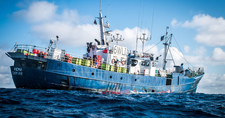 ClientEarth and Oceana sue the Spanish authorities for inaction on ...
